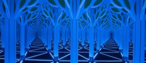 Mirror Maze exhibit at the Franklin Institute explores numbers in ...